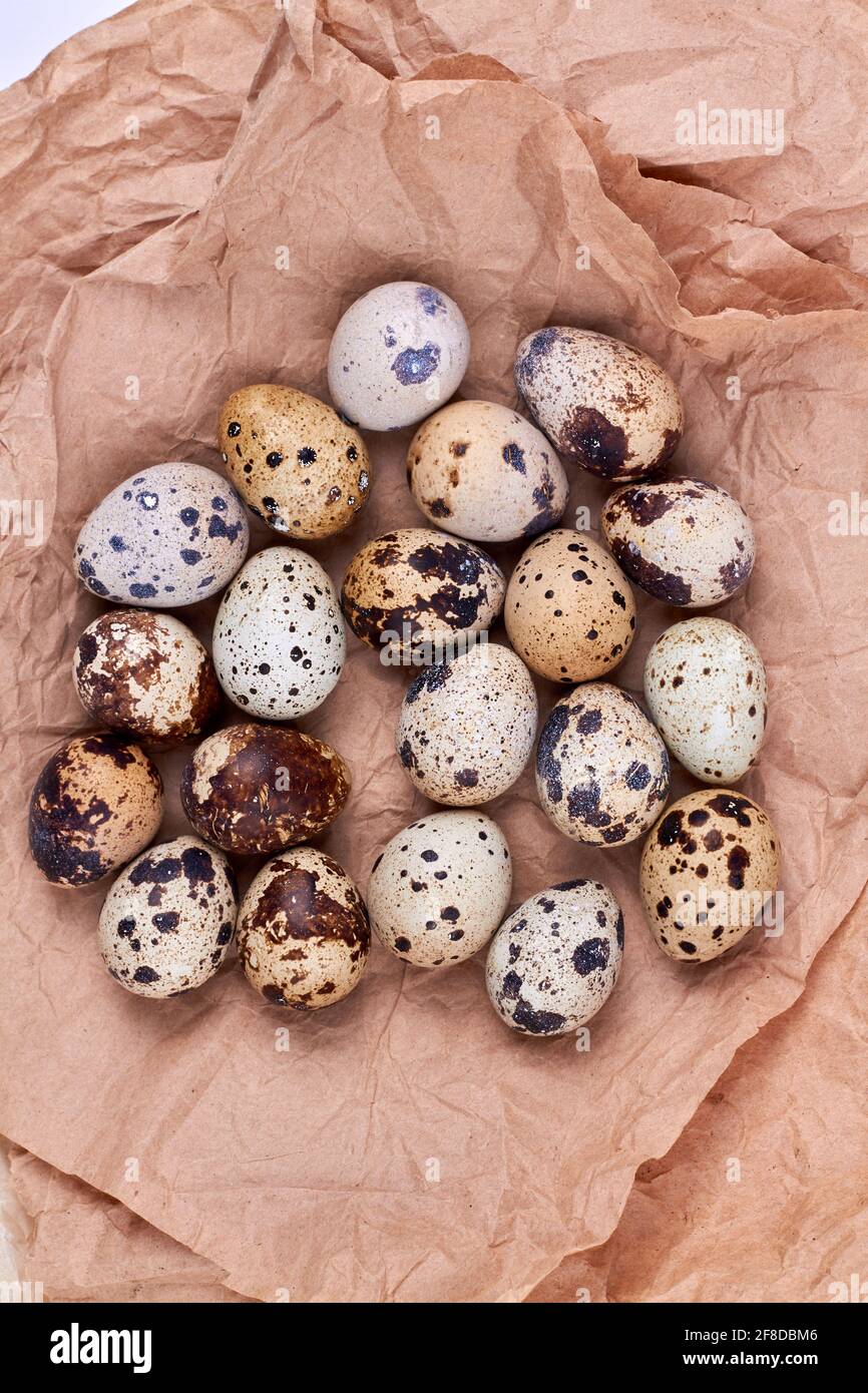Many small quail eggs on a beige crumpled paper Stock Photo - Alamy