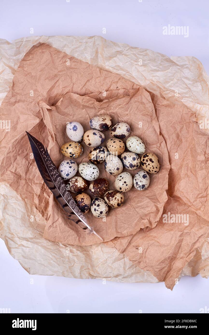 Top view quail eggs and feather on a crumpled paper Stock Photo - Alamy