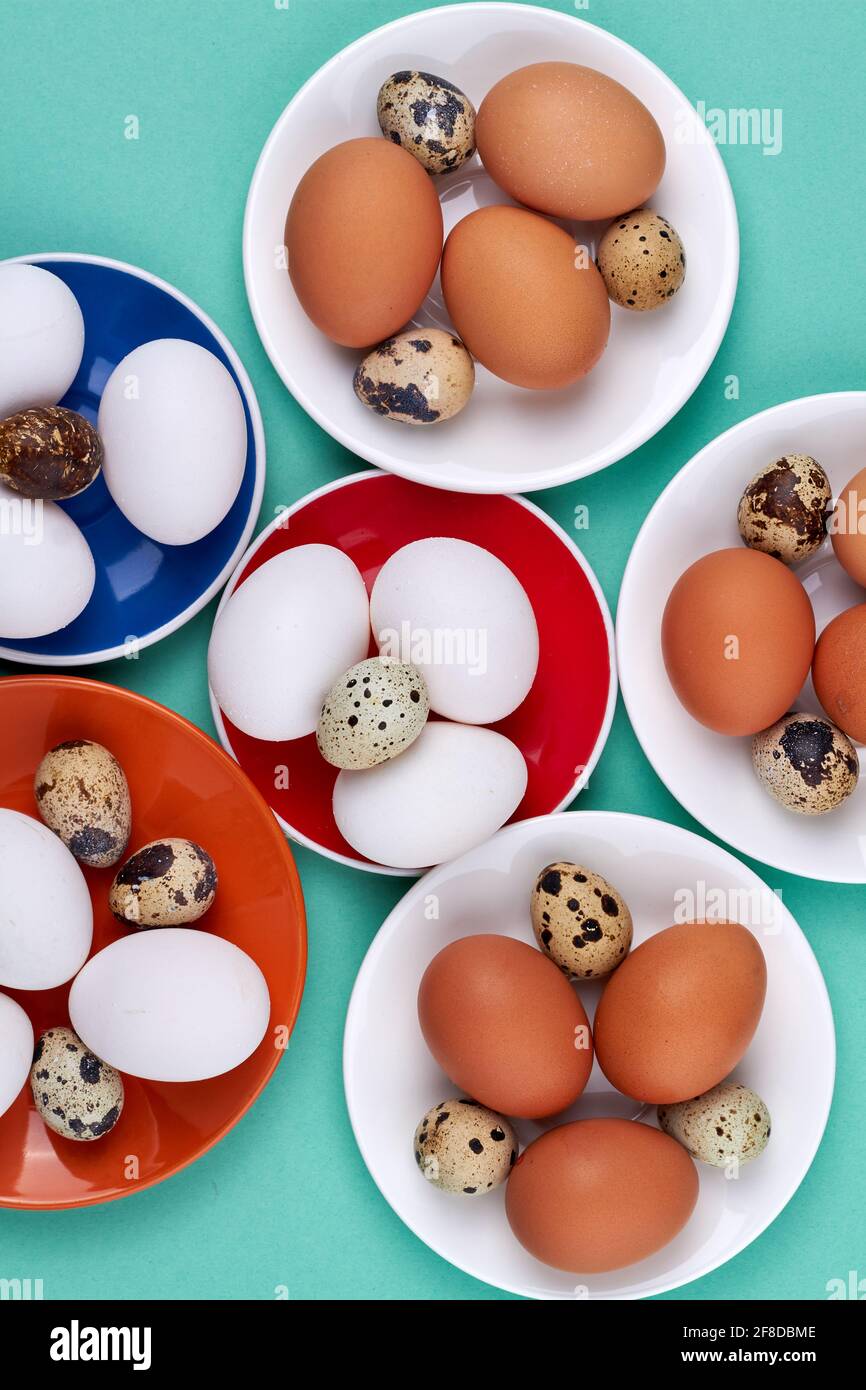 Groups of quail and chicken eggs Stock Photo - Alamy