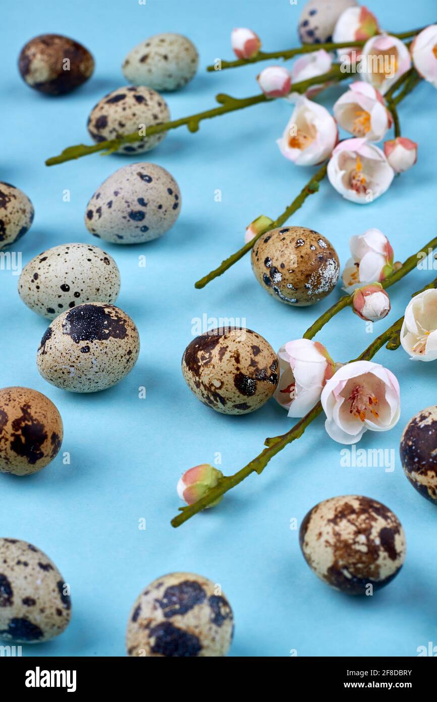 Still life composition of quail eggs and spring flowers Stock Photo - Alamy