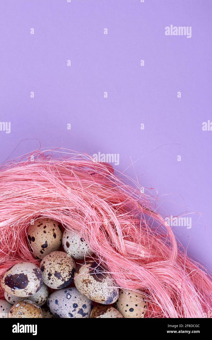 Quail spots hi-res stock photography and images - Alamy