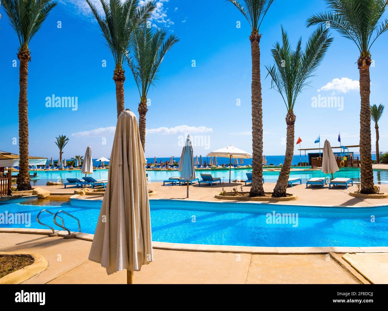 Beatiful clear swimming pool with palms at sunny place in hotel Stock ...