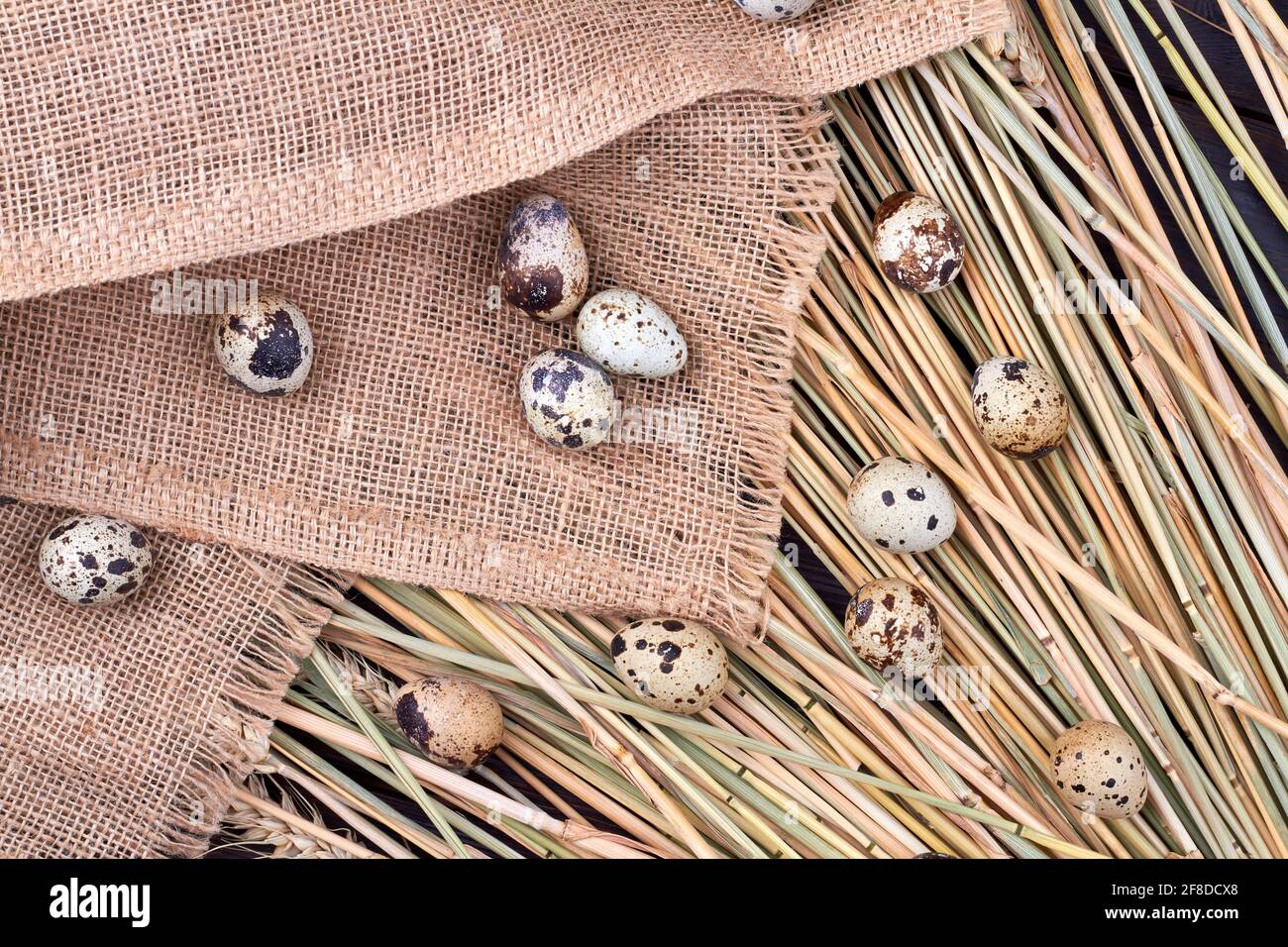 Rustic composition of quail eggs Stock Photo - Alamy