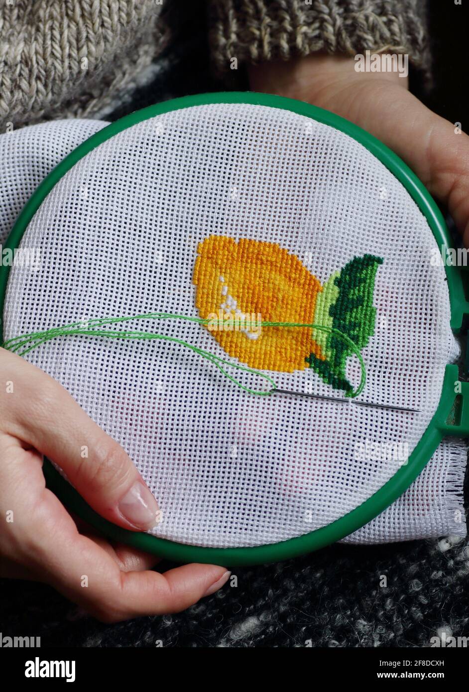 Embroidery in woman hands, female in knitted woolen grandma clothes ...