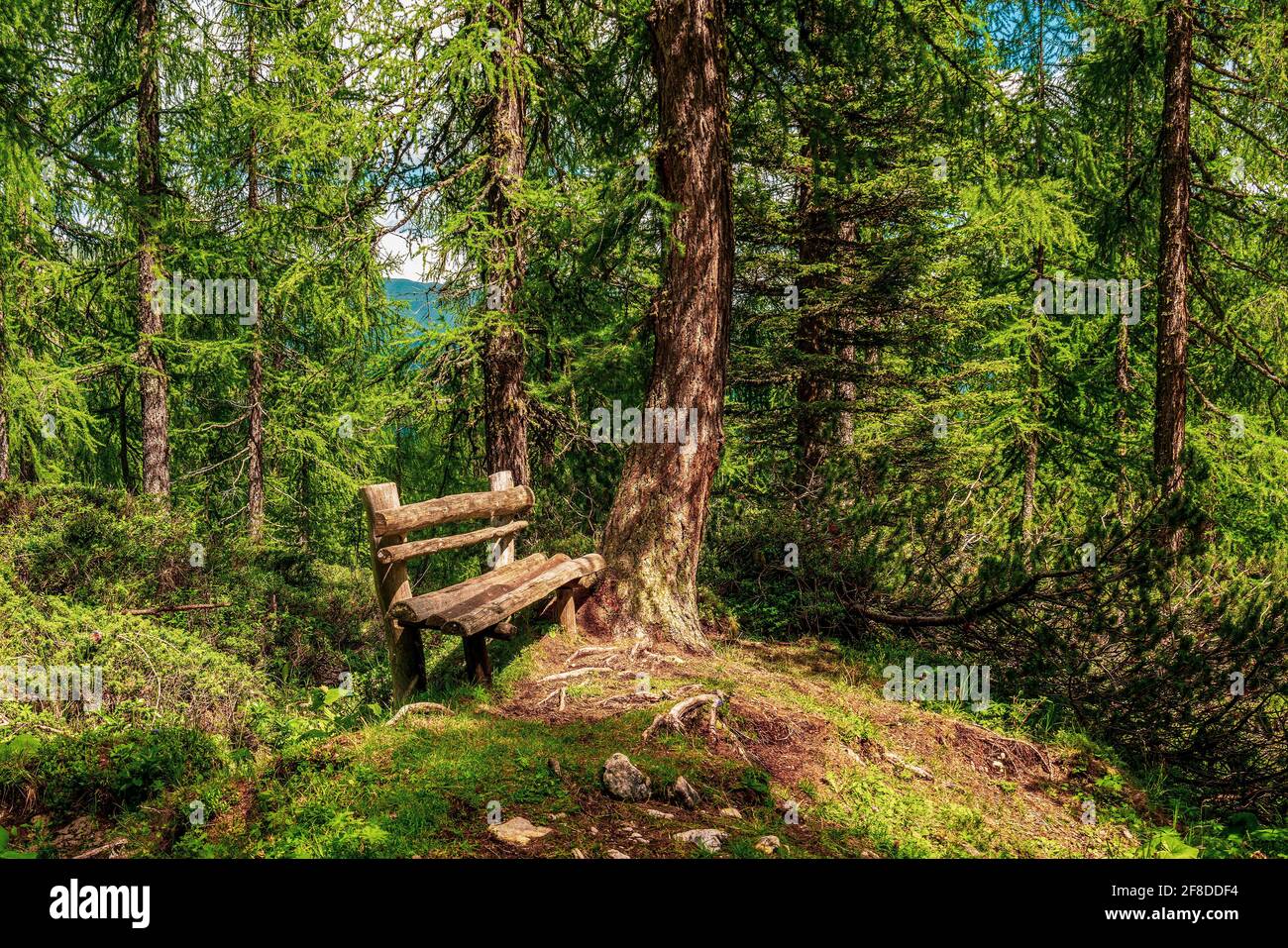 Wooden bench on hiking trails in the Dolomites, Italy Stock Photo - Alamy
