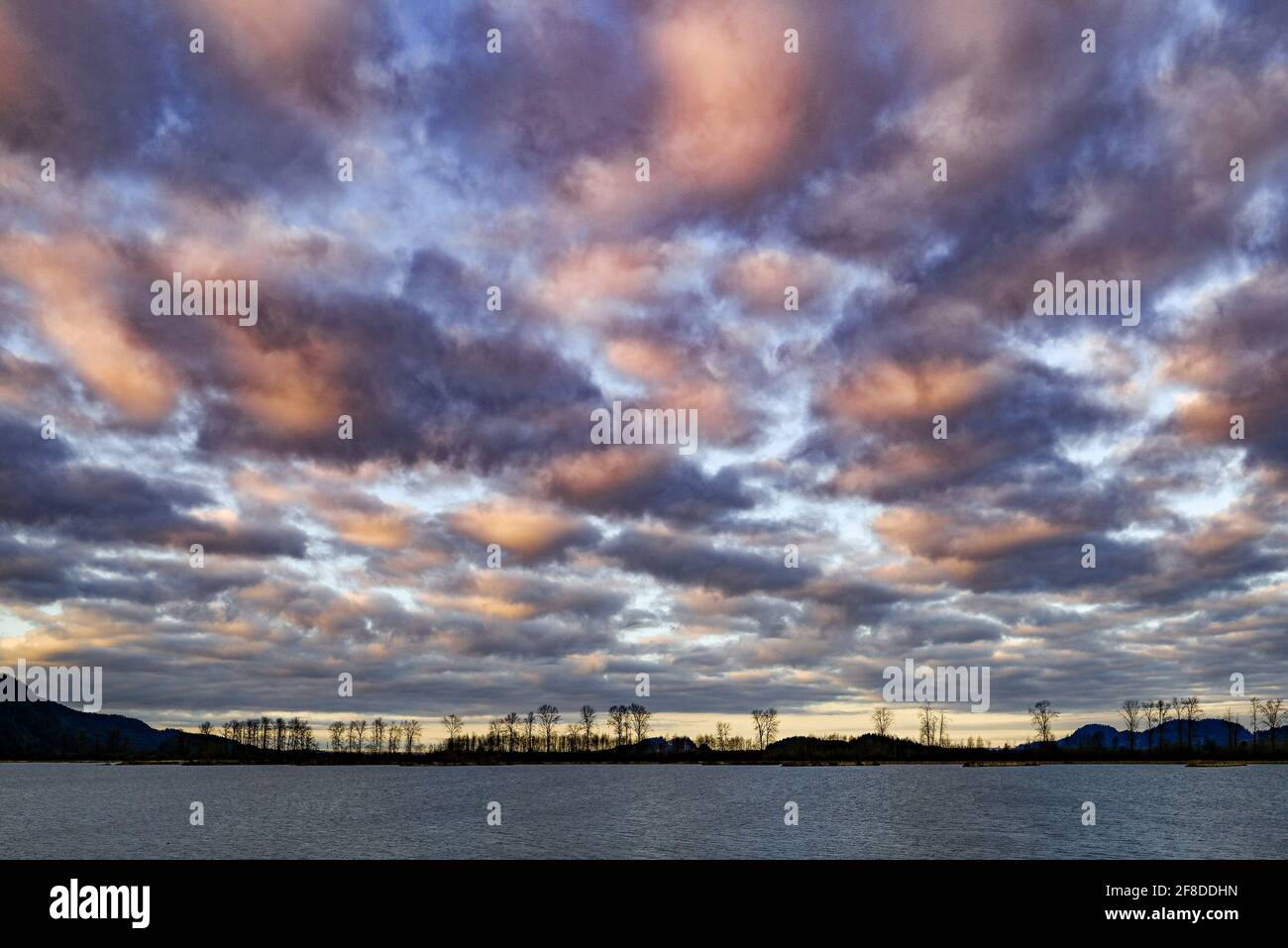 Pitt meadows marsh hi-res stock photography and images - Alamy