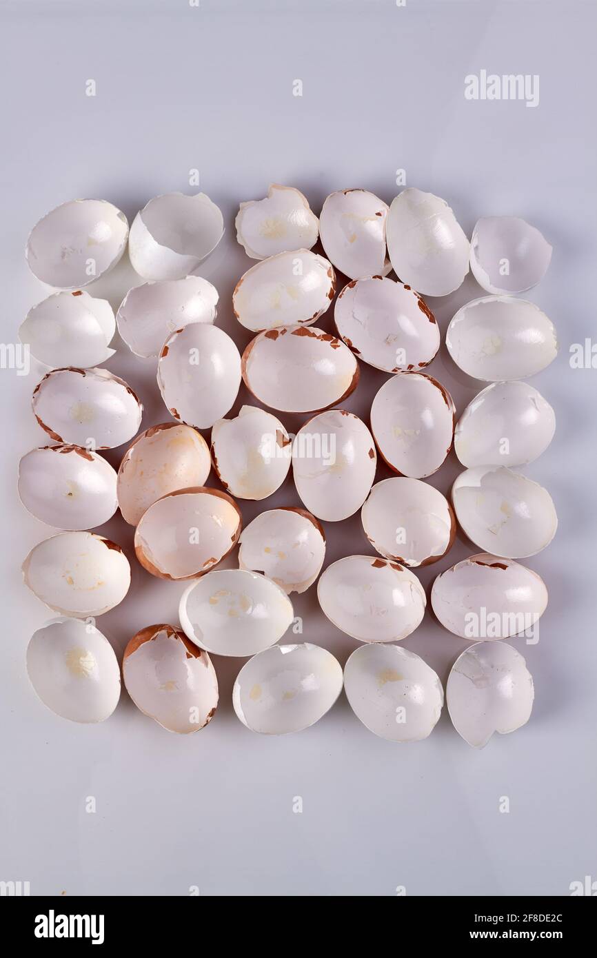 Chicken egg cross section hi-res stock photography and images - Alamy