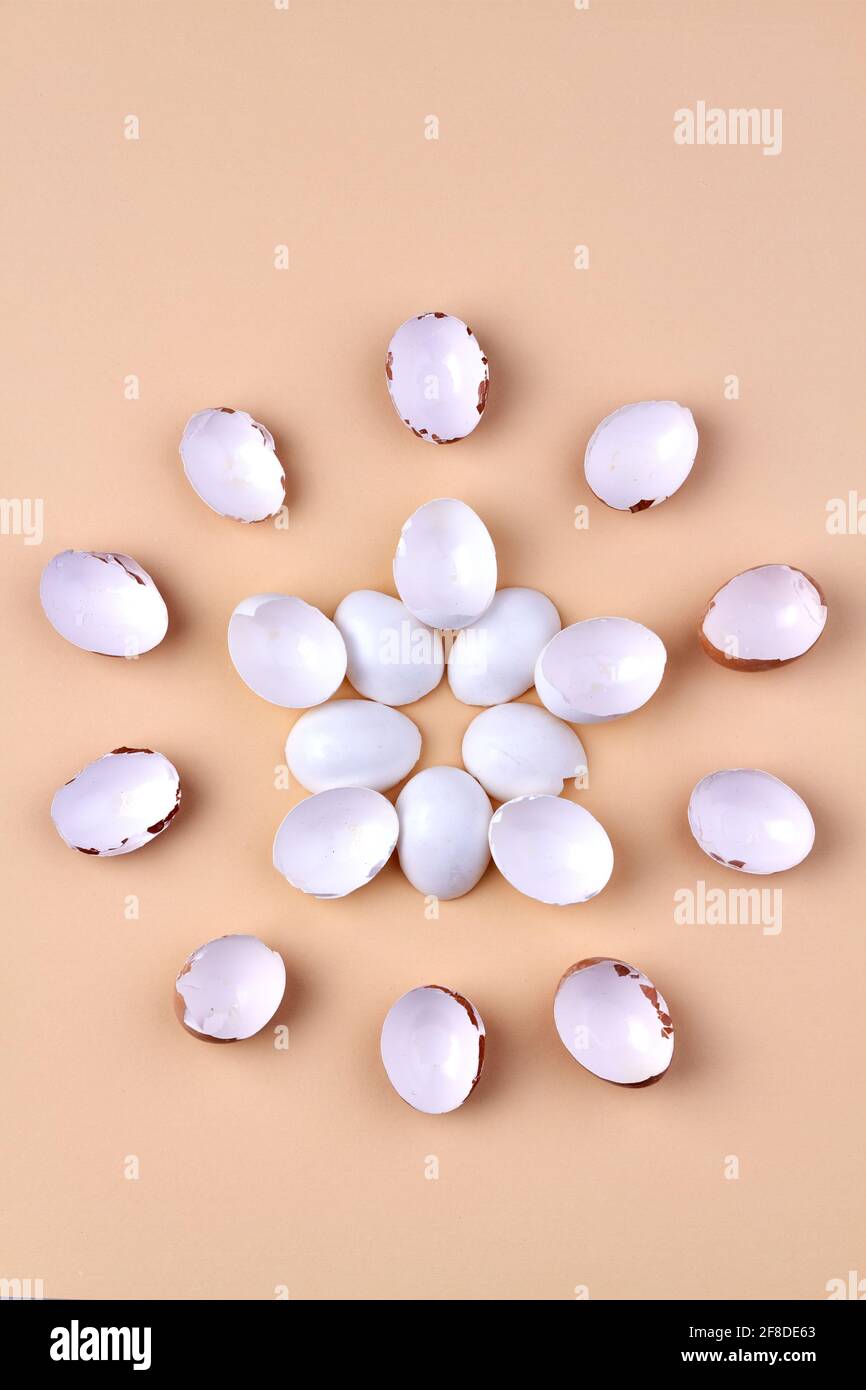 Chicken egg shells hi-res stock photography and images - Alamy