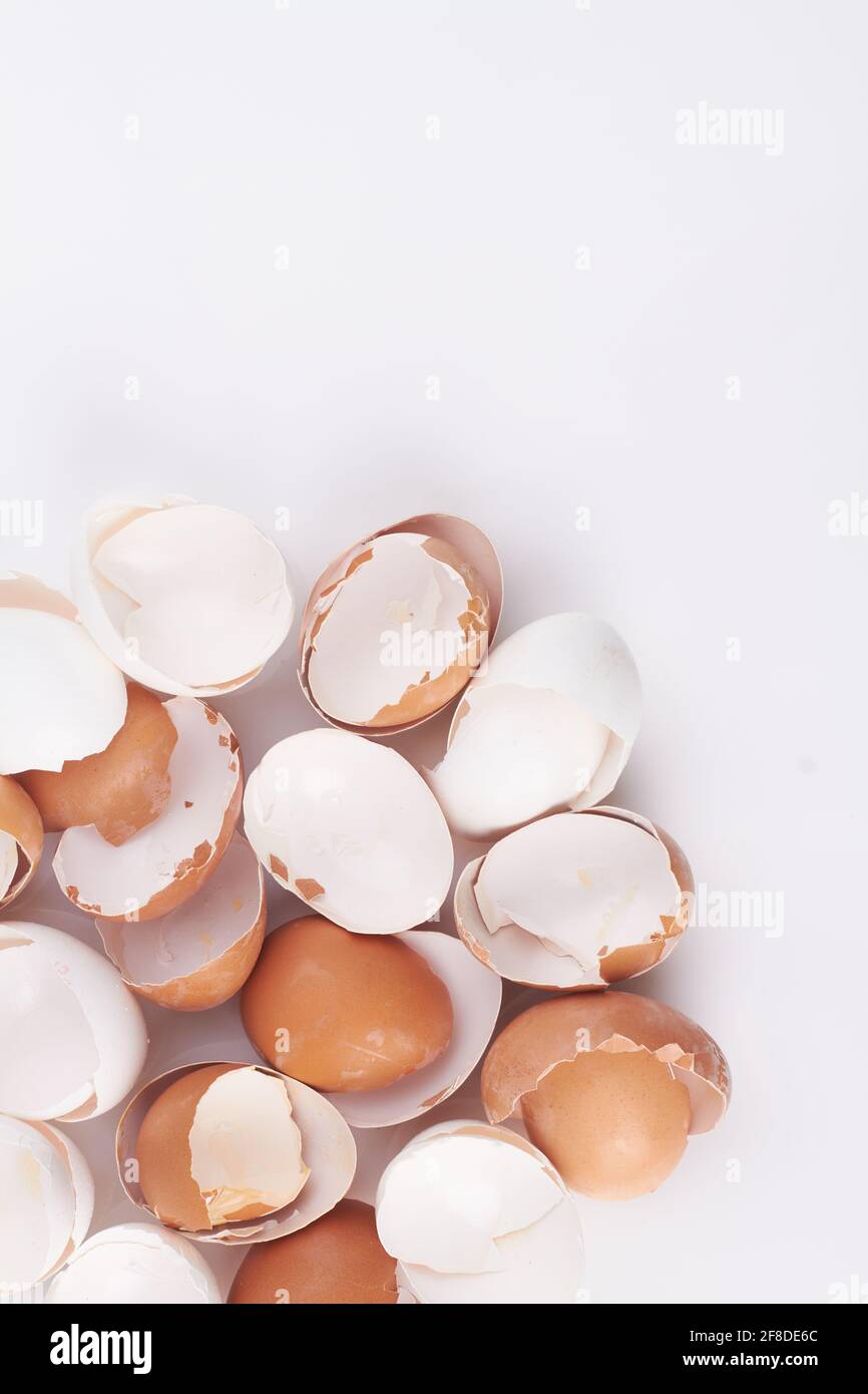 Pile of empty eggshells top view Stock Photo - Alamy