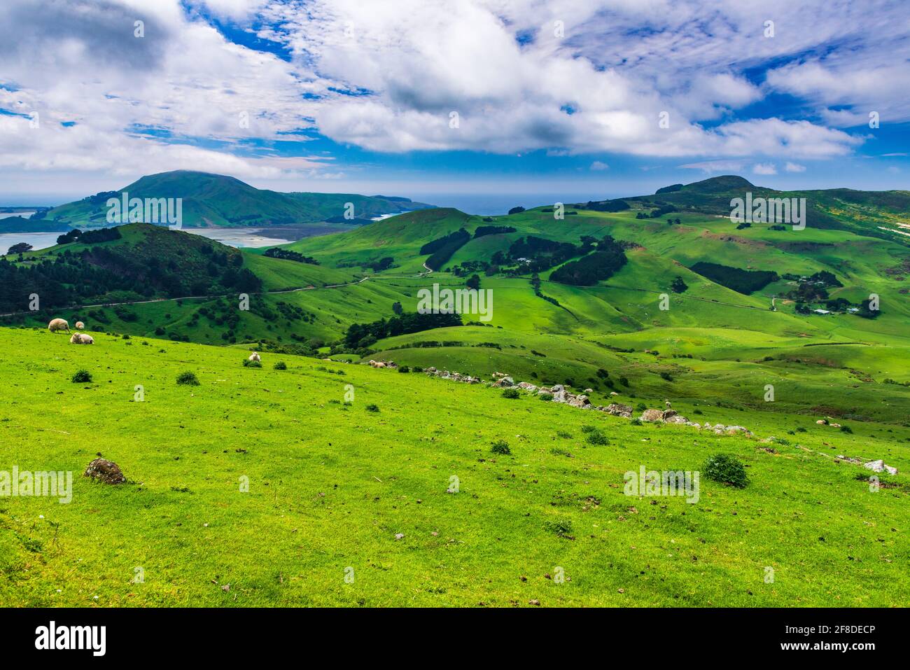 Rolling farmland on the Otago Peninsula, Dunedin, Otago, South Island ...