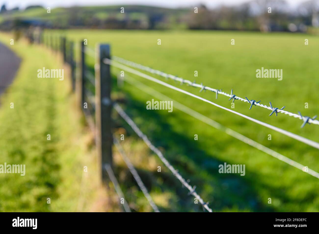 Barbed wire fence cattle farm hi-res stock photography and images - Alamy