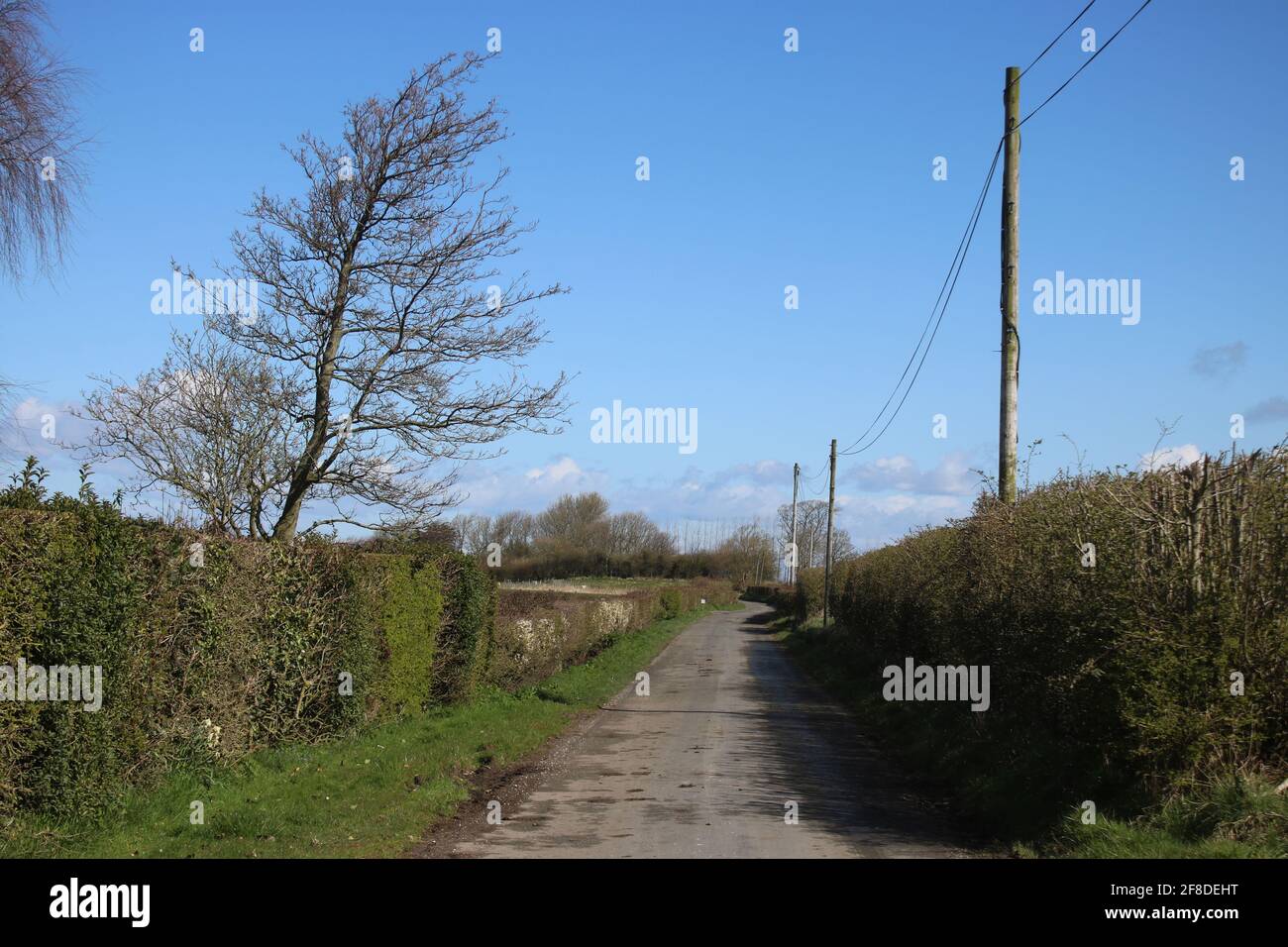 Straight hedges hi-res stock photography and images - Alamy