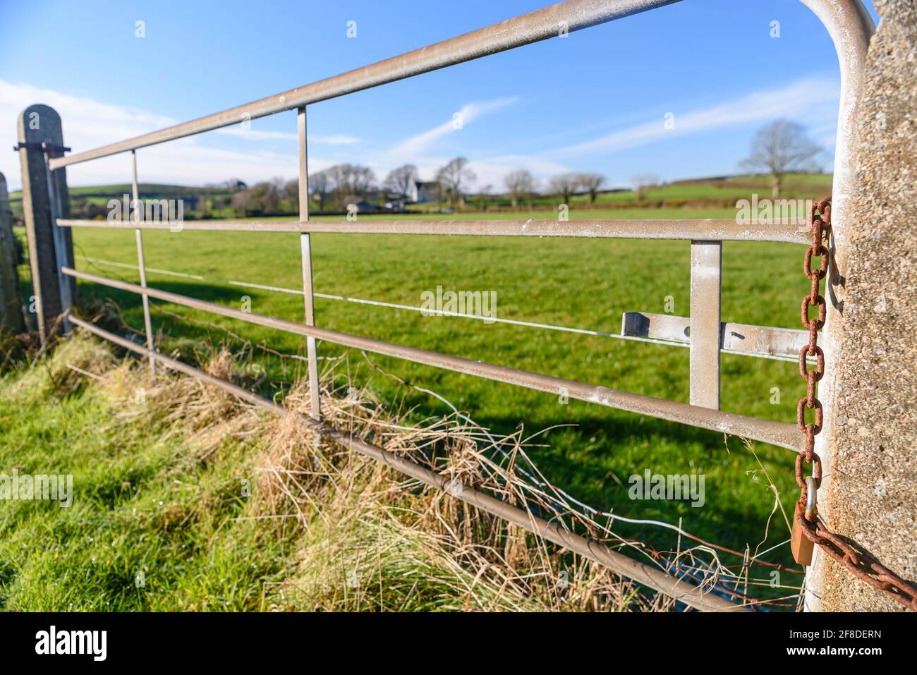 Metal field gate into a field Stock Photo - Alamy