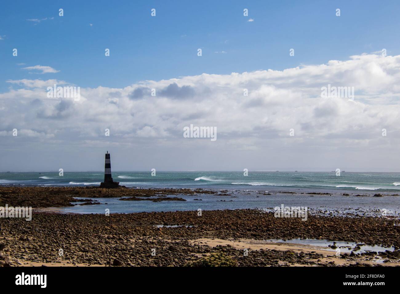 Cape reife hi-res stock photography and images - Alamy