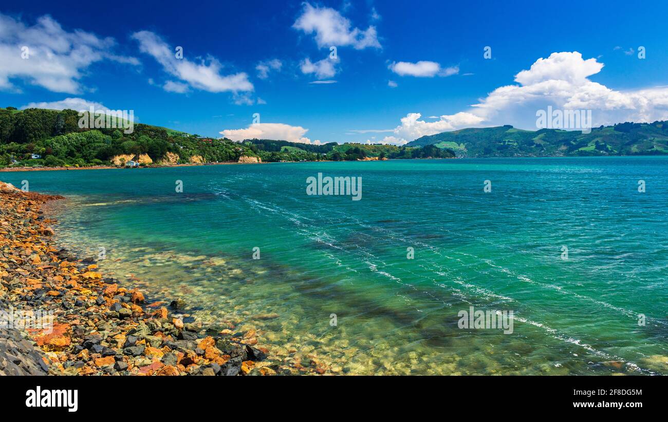 Coastline along the Otago Peninsula, Dunedin, Otago, South Island, New ...