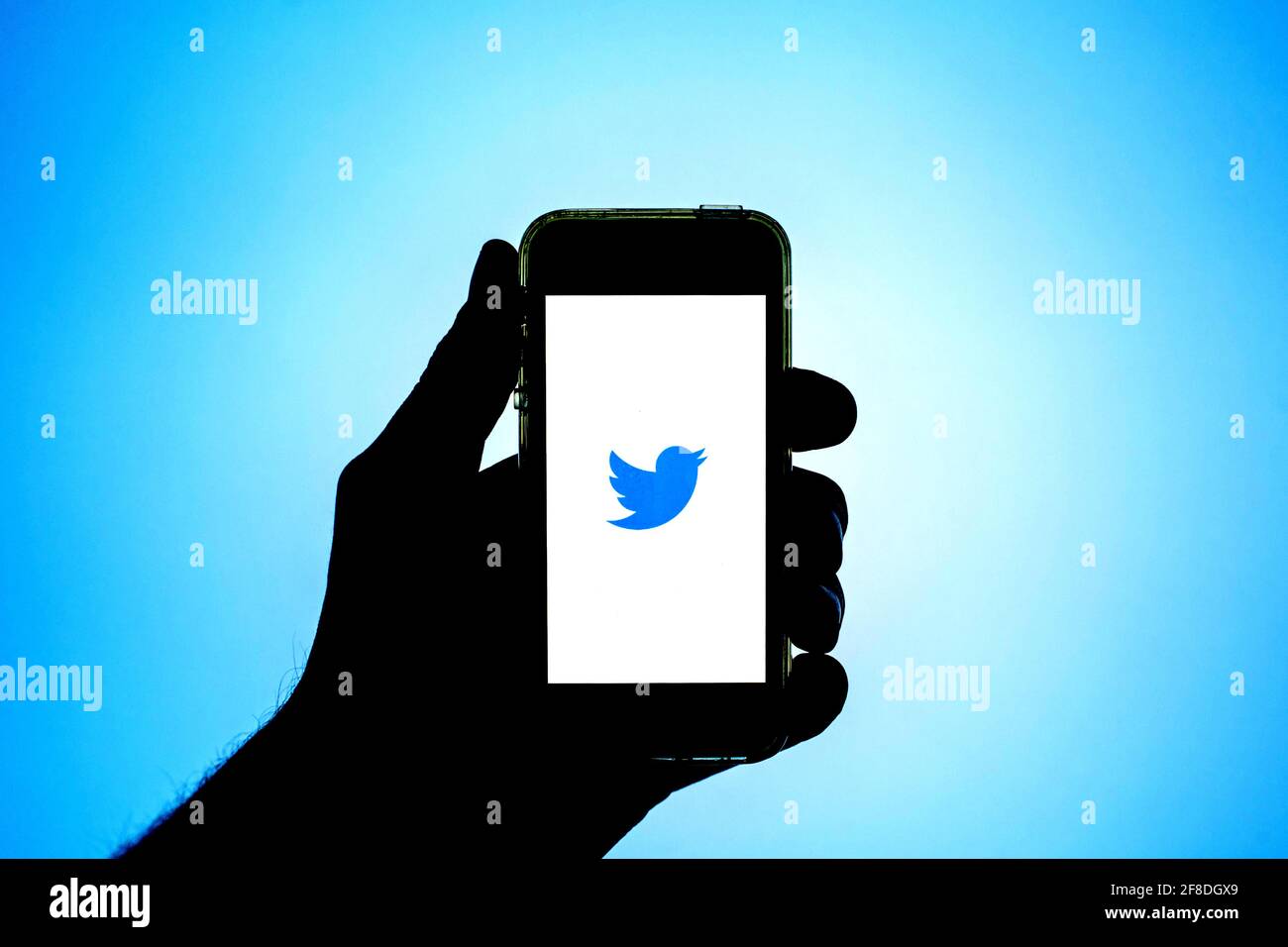 In this photo illustration a Twitter logo seen displayed on a ...