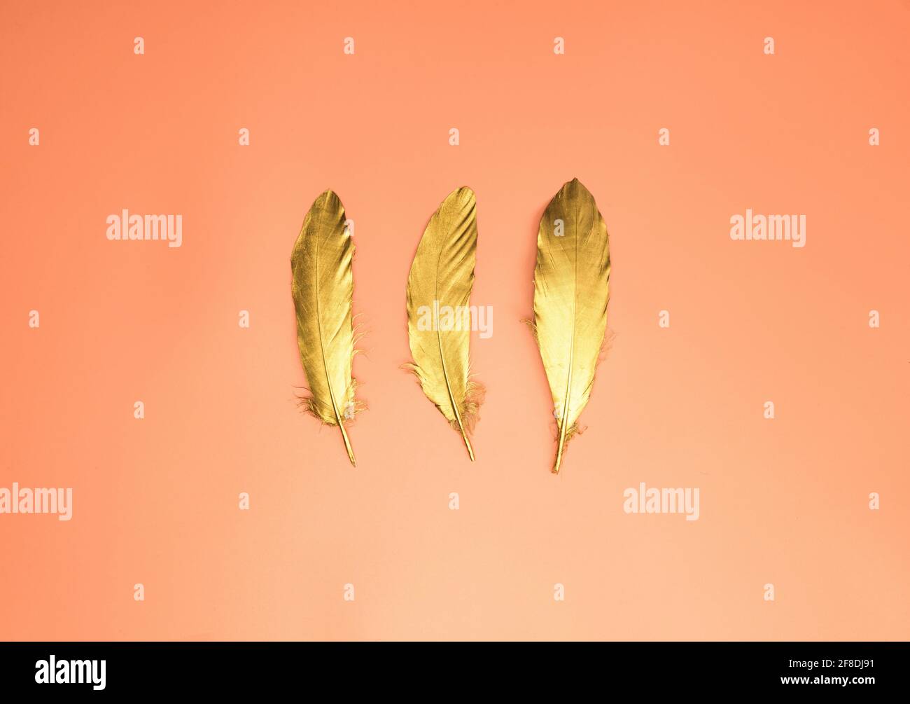 Set of luxury gold shiny feathers on orange peach background top view ...