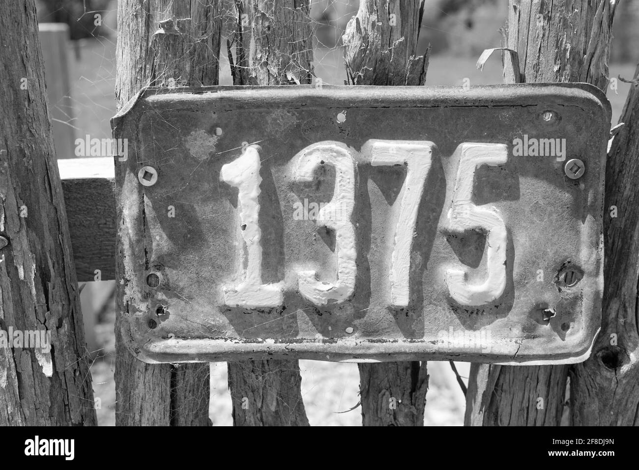 Number tree Black and White Stock Photos & Images - Alamy