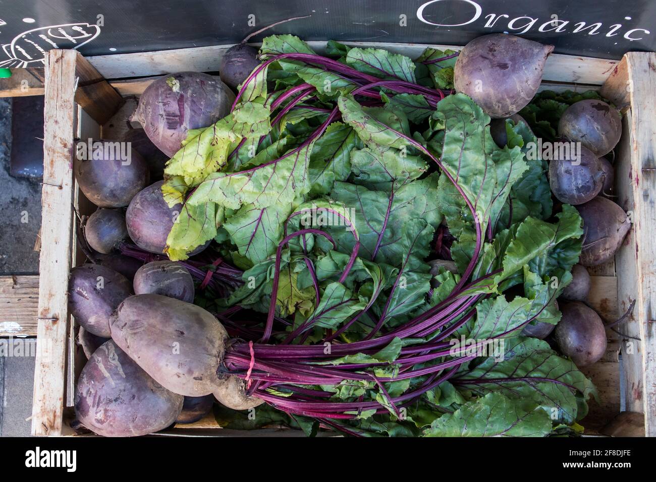 Leaves labeled hi-res stock photography and images - Alamy