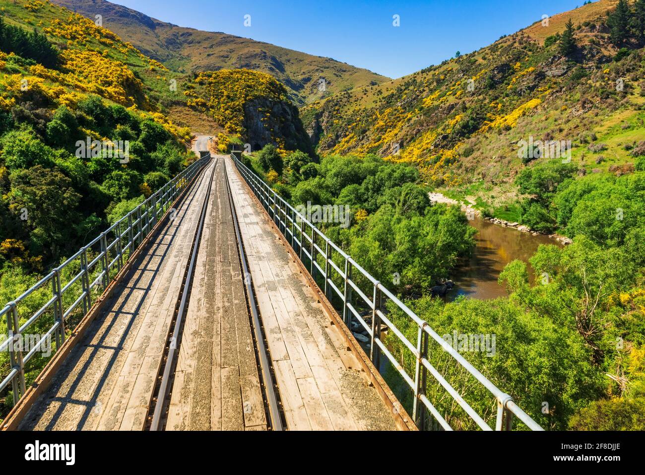 Dunedin railways train tour hi-res stock photography and images - Alamy