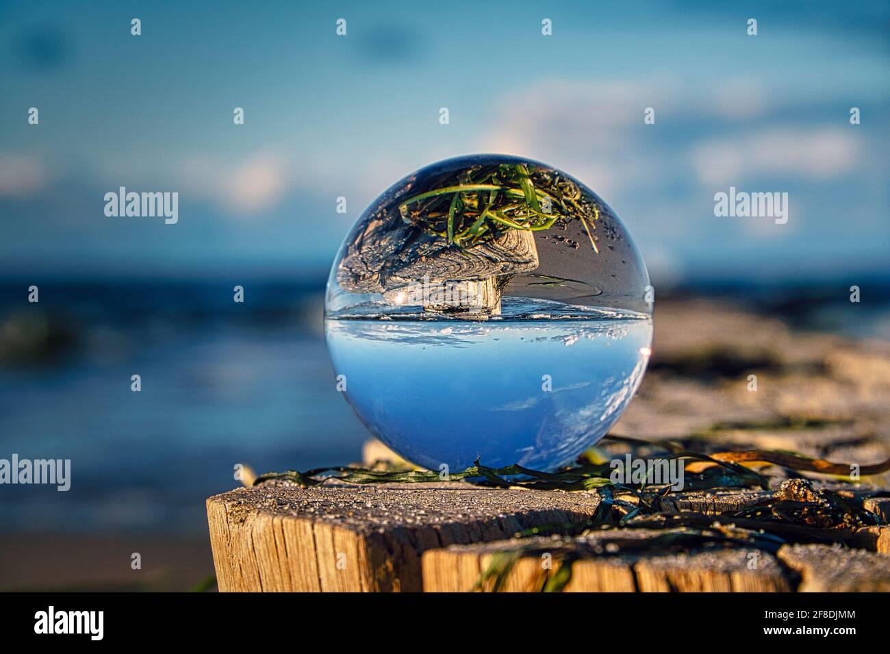 Viewed through glass hi-res stock photography and images - Alamy