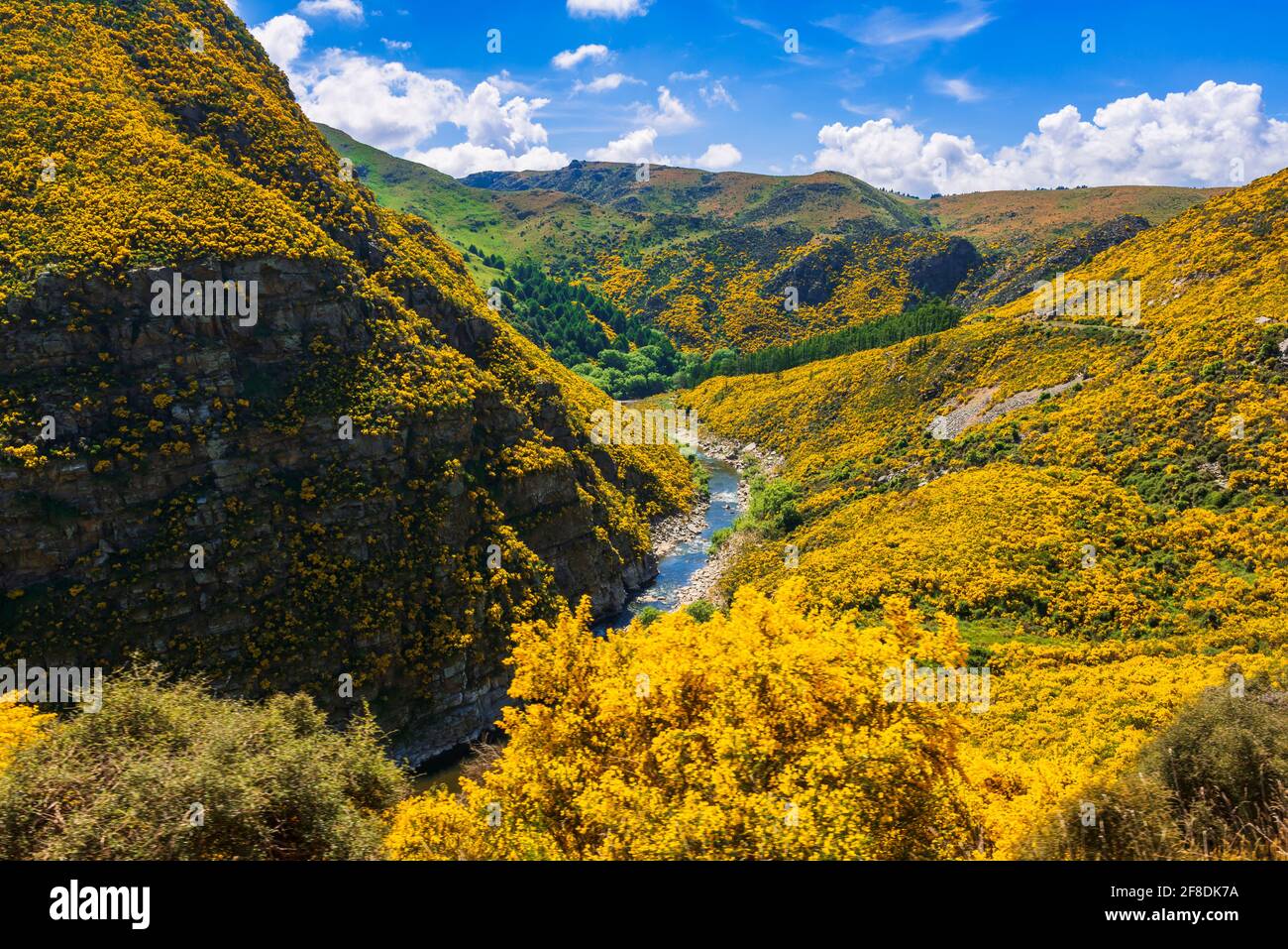 Taieri river gorge hi-res stock photography and images - Alamy