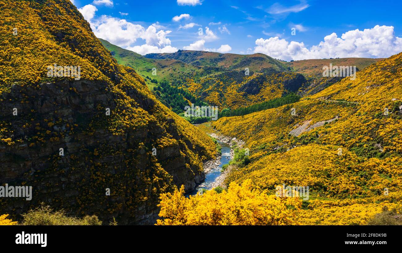 The Taieri Gorge, Otago, South Island, New Zealand Stock Photo - Alamy