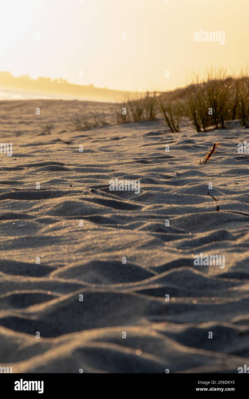 Morning light on the sand Stock Photo - Alamy
