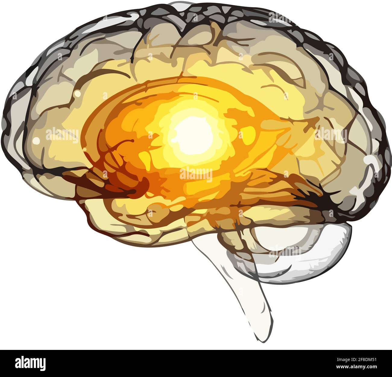 Brain light hi-res stock photography and images - Alamy