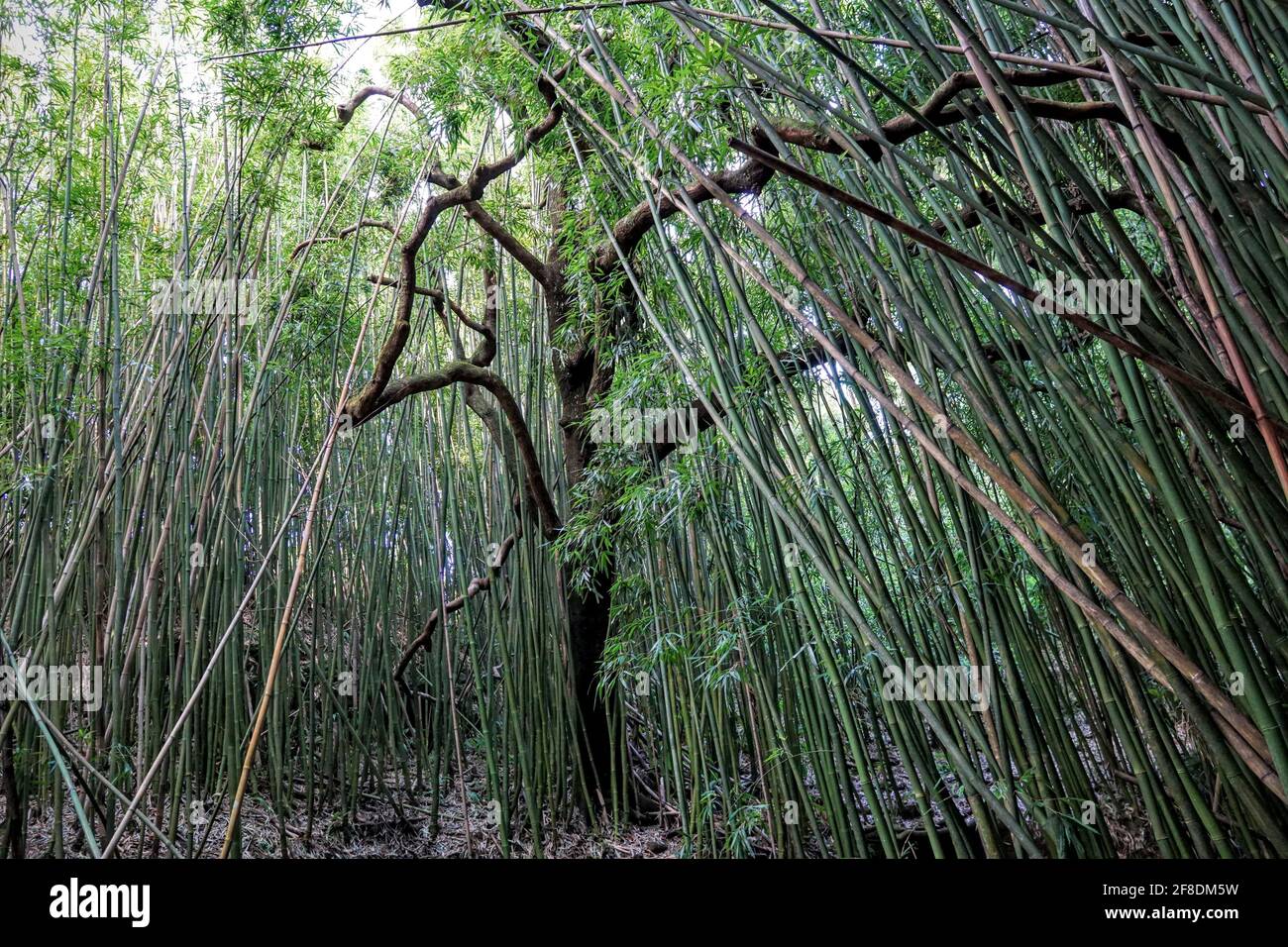 Overrun background hi-res stock photography and images - Alamy