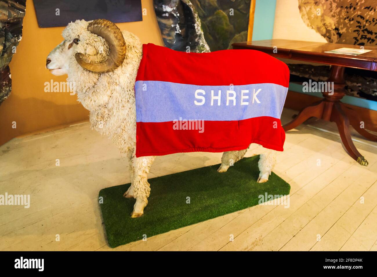 Shrek The Sheep