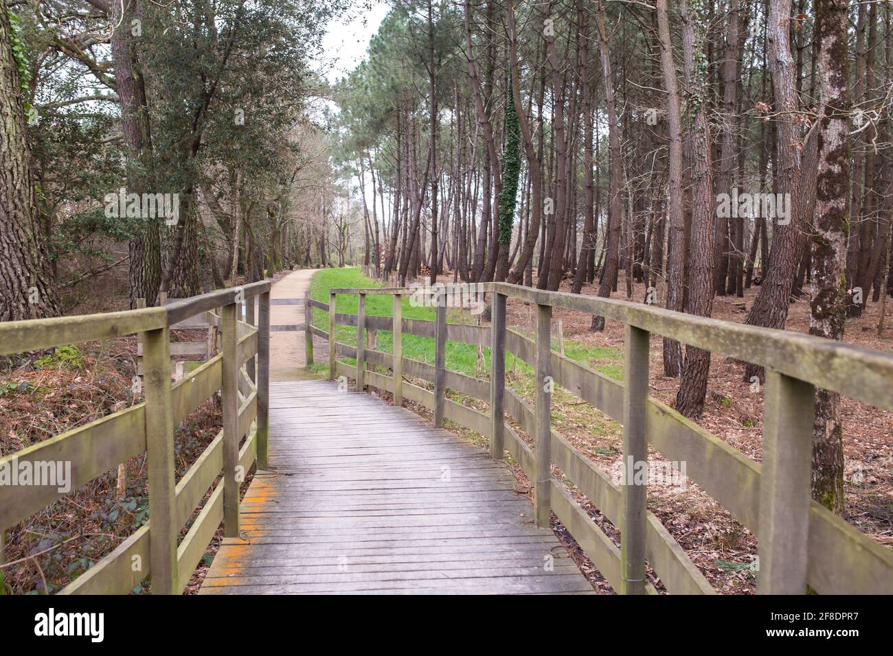 Wooden walking path in the park (Carnac, France Stock Photo - Alamy