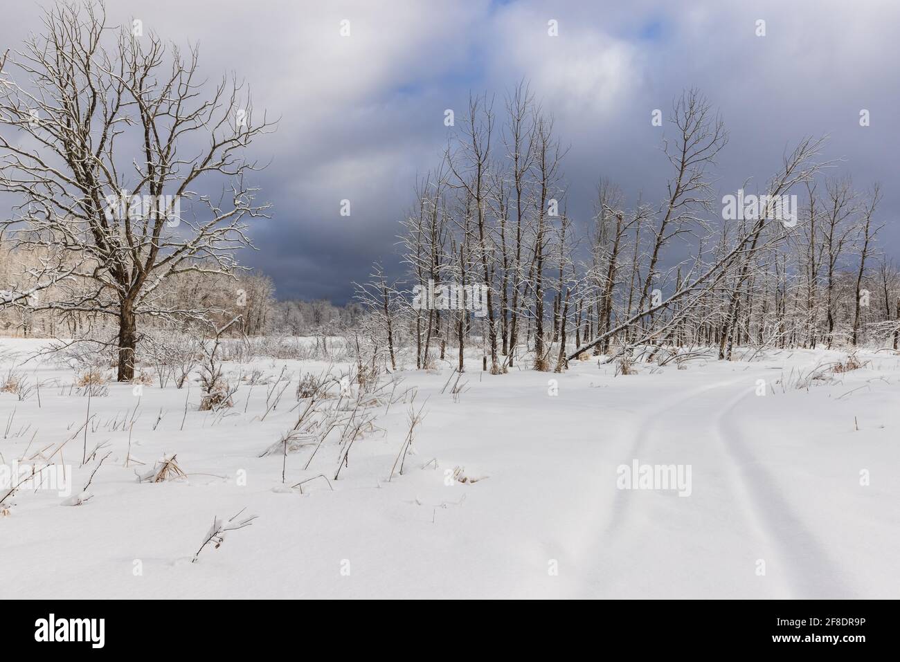 Stark landscape hi-res stock photography and images - Alamy