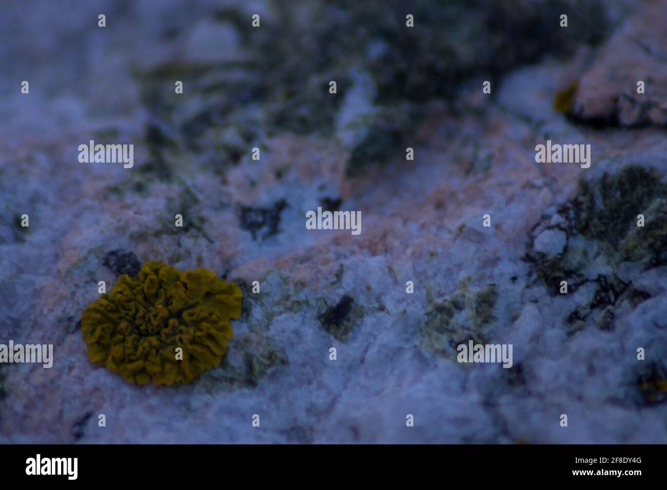 Stone zoom hi-res stock photography and images - Alamy