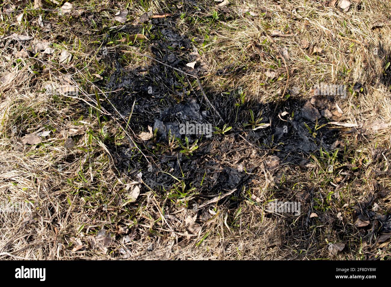 Burnt sprouts hi-res stock photography and images - Alamy