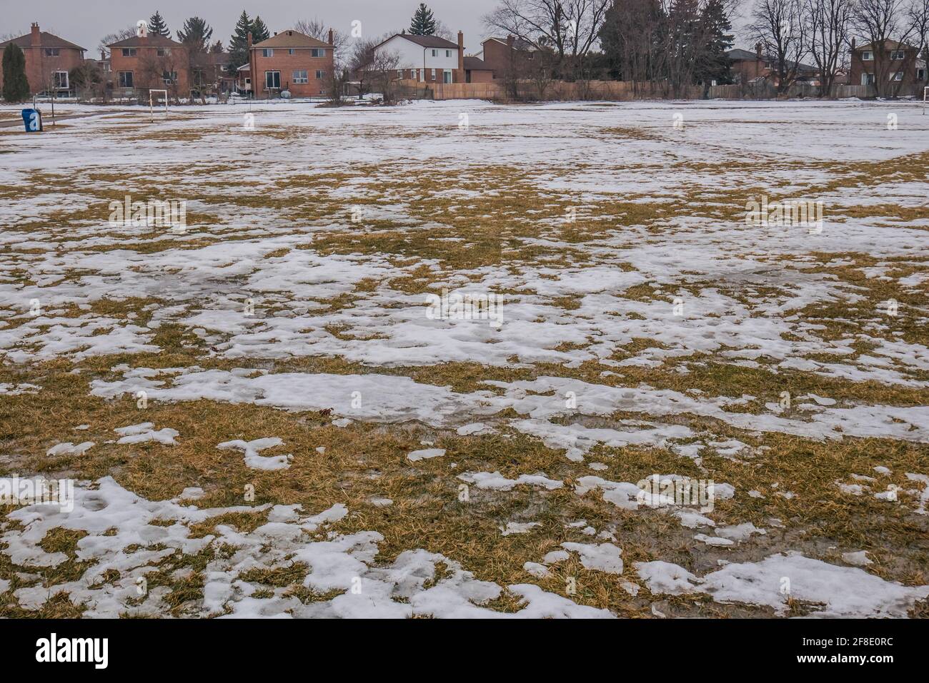 snow melting on grass Stock Photo - Alamy
