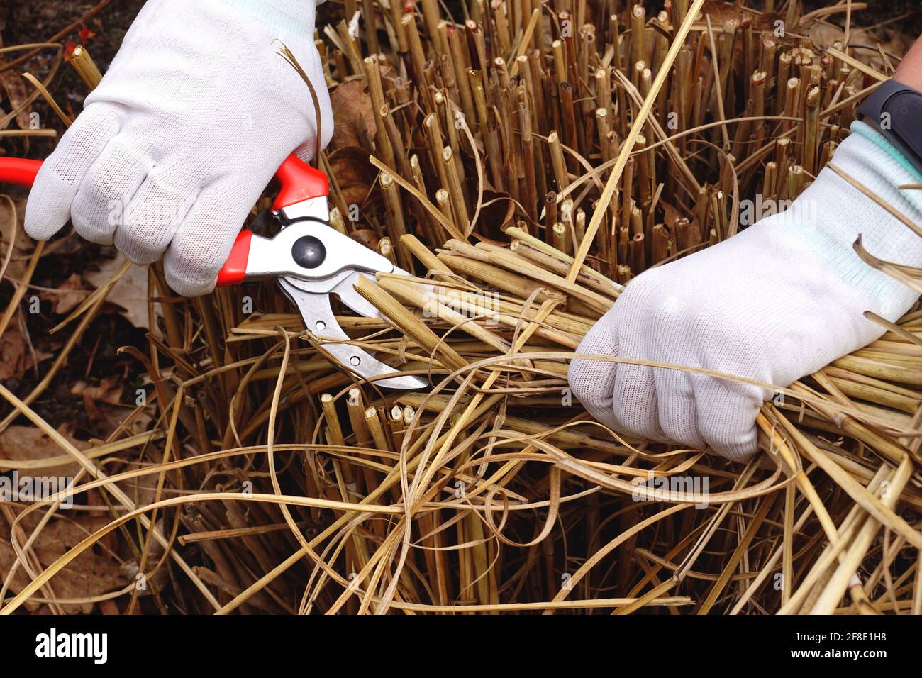Manual hand grass cutter hi-res stock photography and images - Alamy