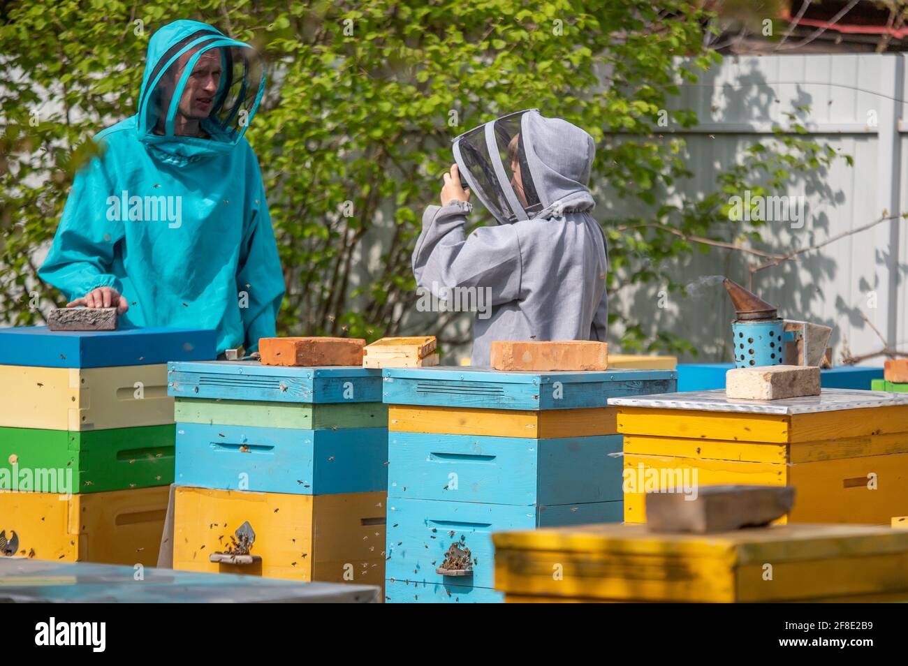 Beekeeping tourism hi-res stock photography and images - Alamy