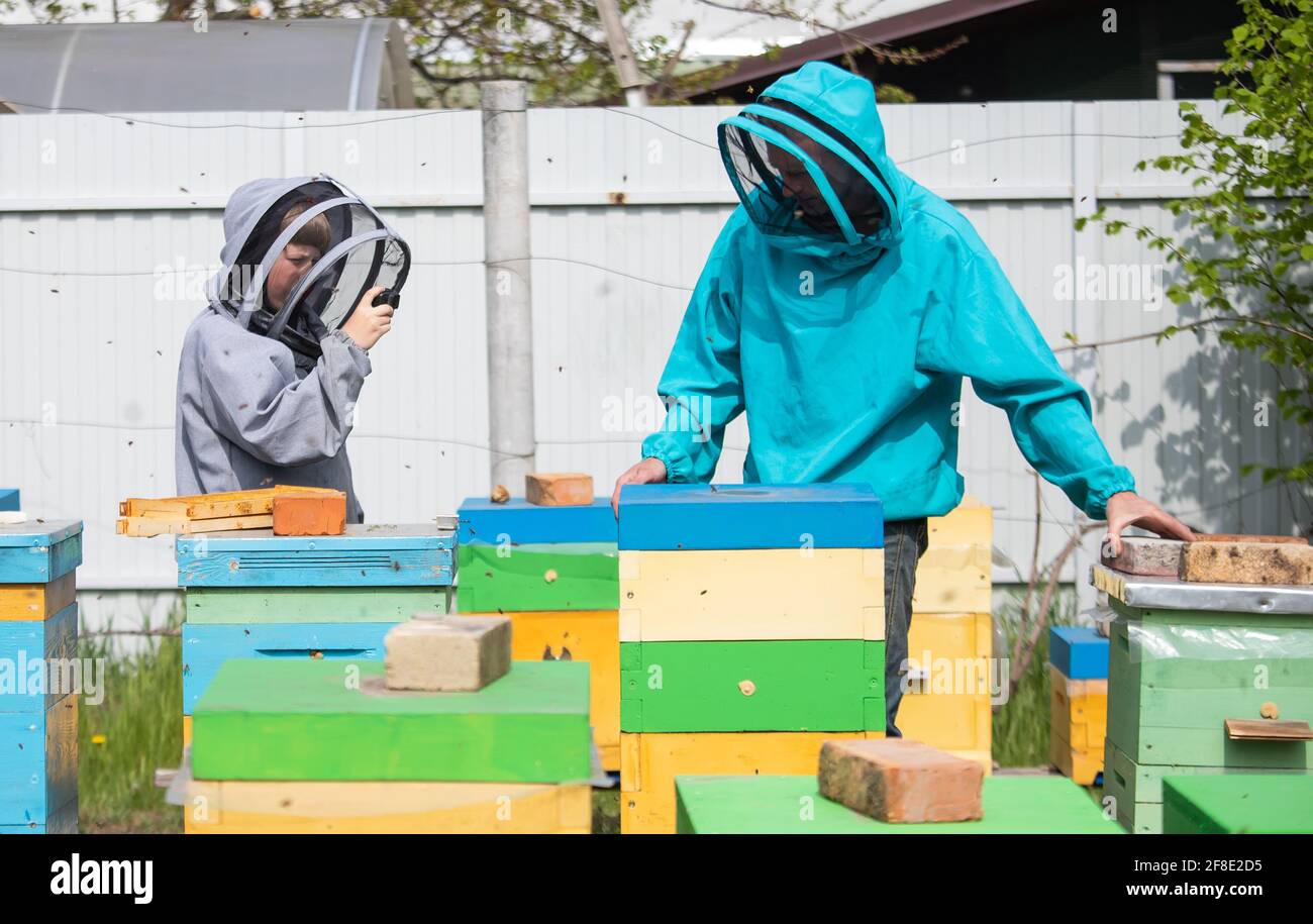 Beekeeping tourism hi-res stock photography and images - Alamy