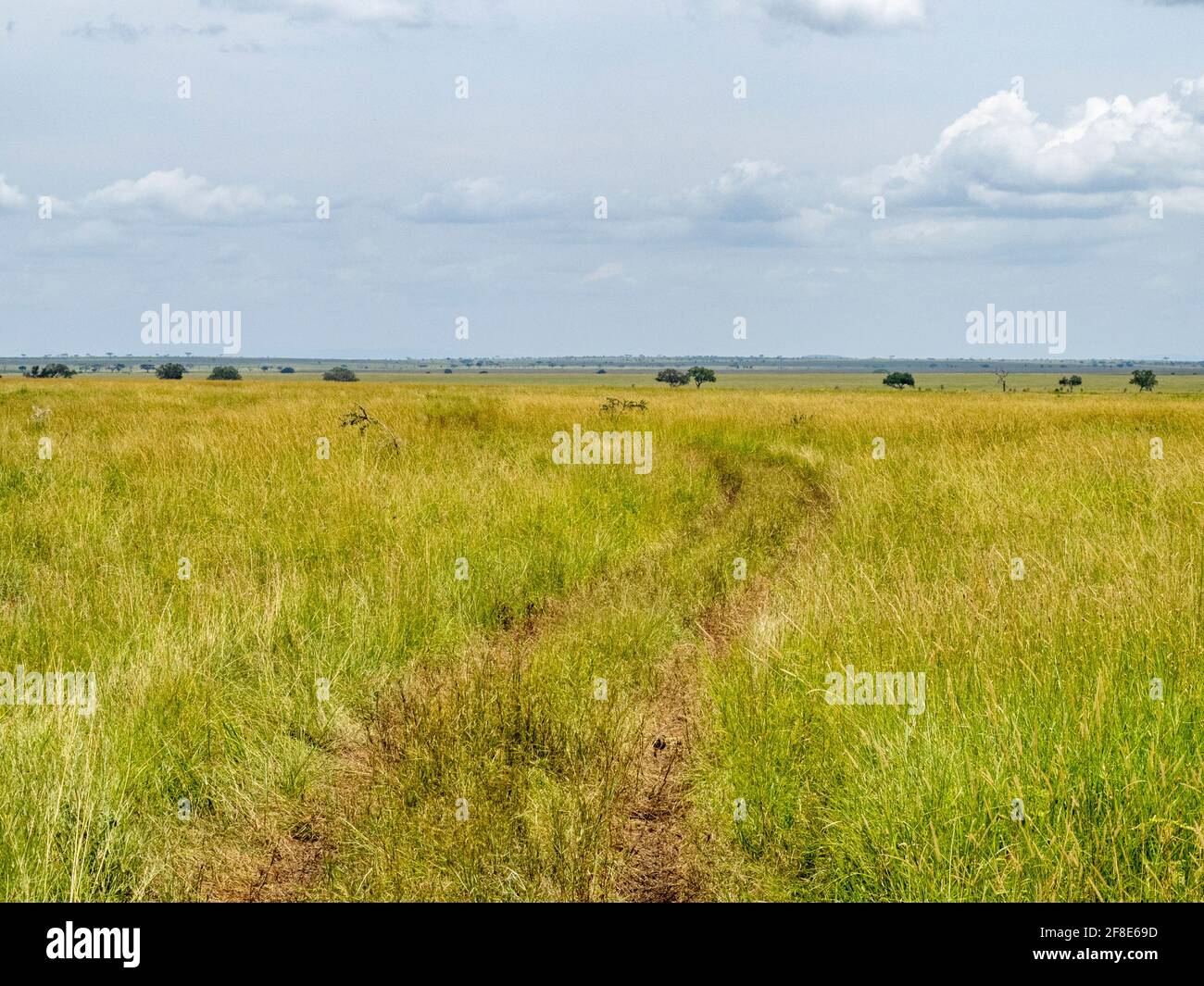 Serengeti National Park, Tanzania, Africa - February 29, 2020: Jeep ...