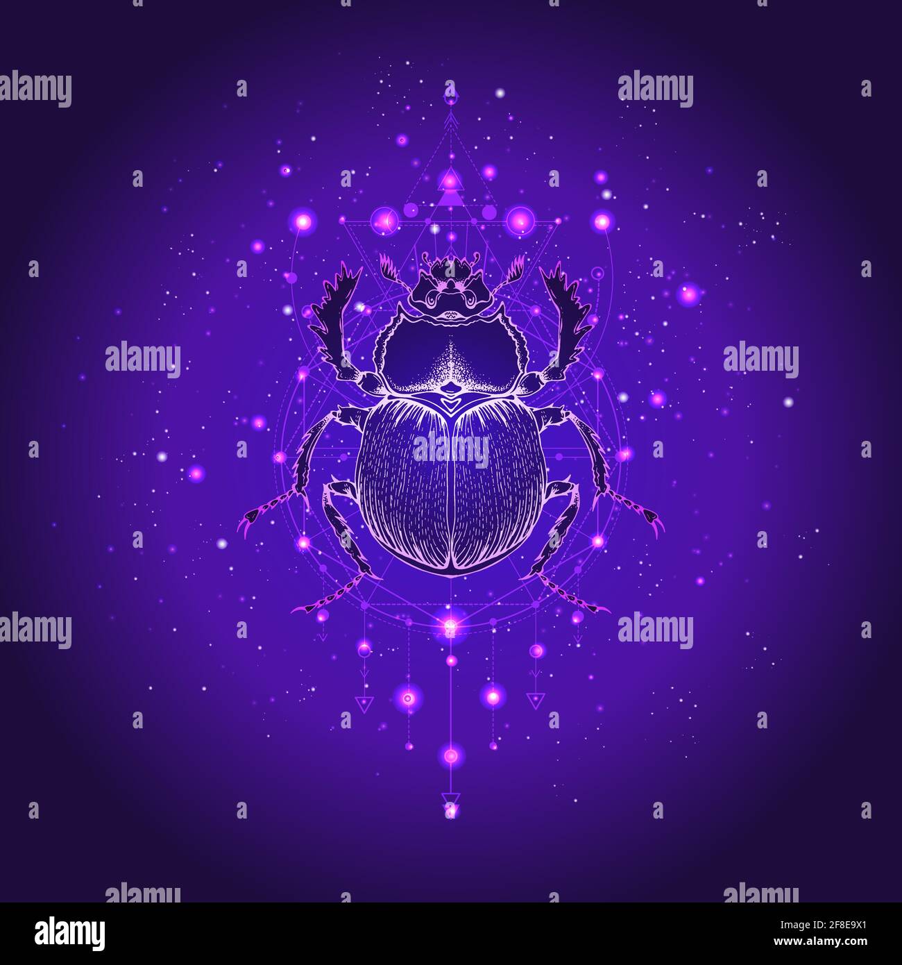 Sacred scarabaeus hi-res stock photography and images - Alamy