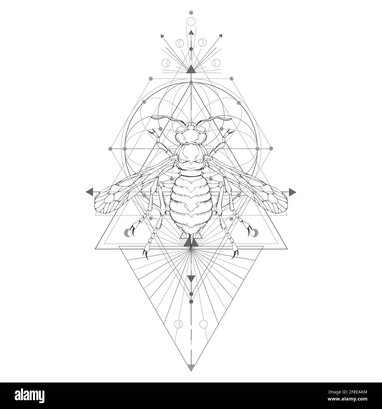Vector illustration with hand drawn wasp and Sacred geometric symbol on ...
