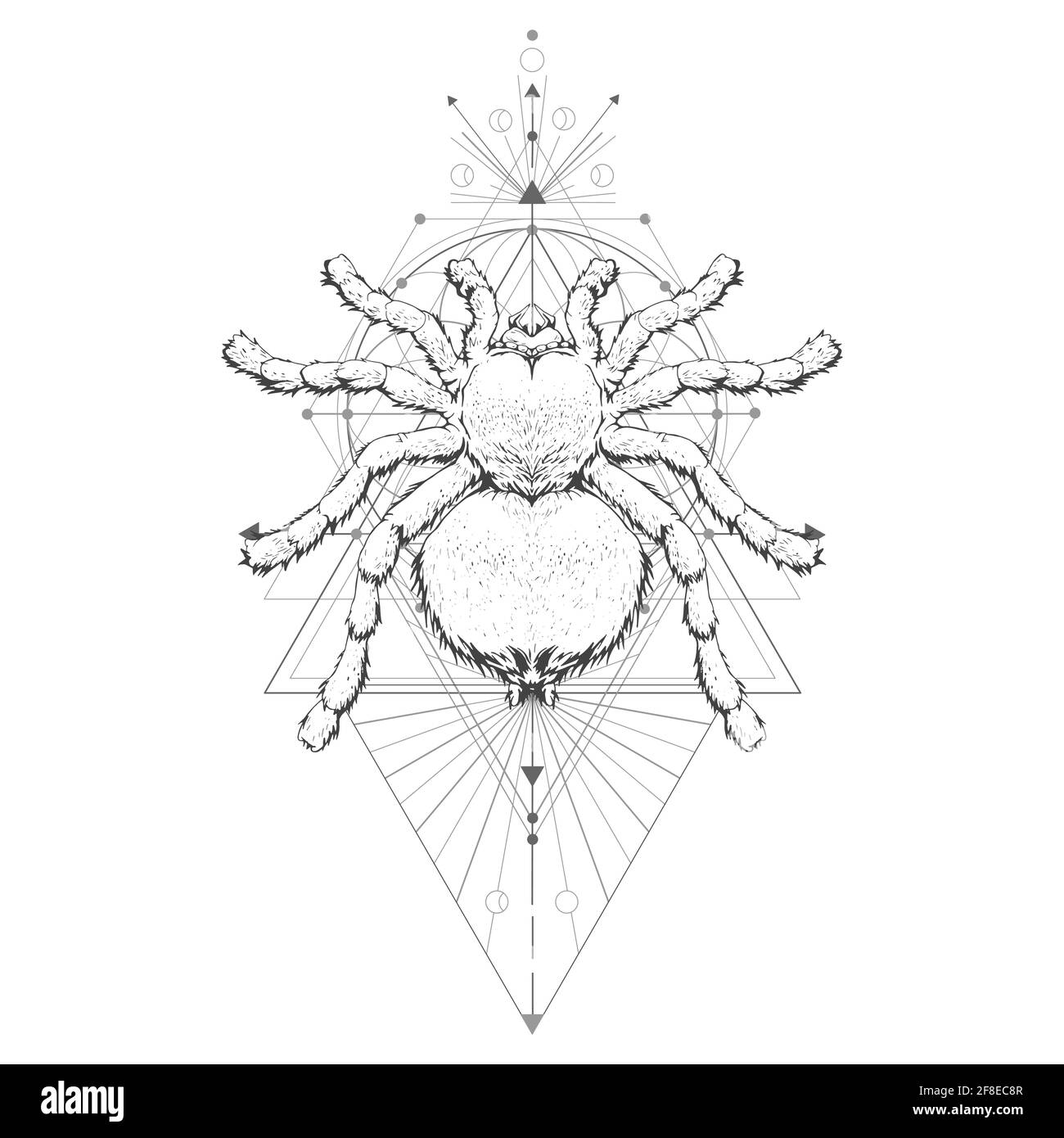 Vector illustration with hand drawn insect and Sacred geometric symbol ...