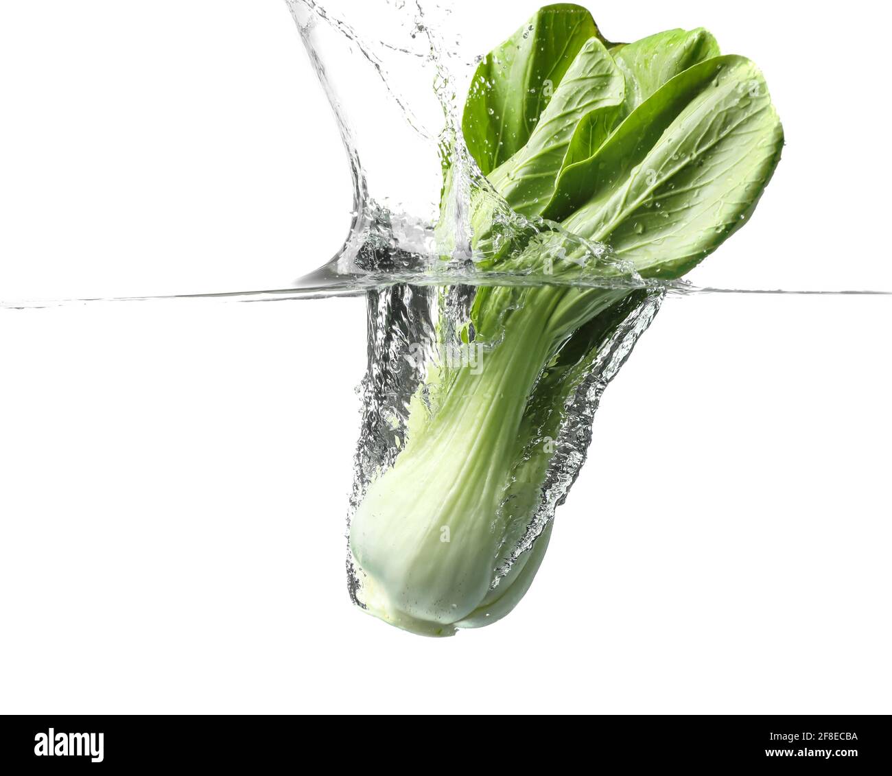 Falling of fresh Chinese cabbage into water against white background ...