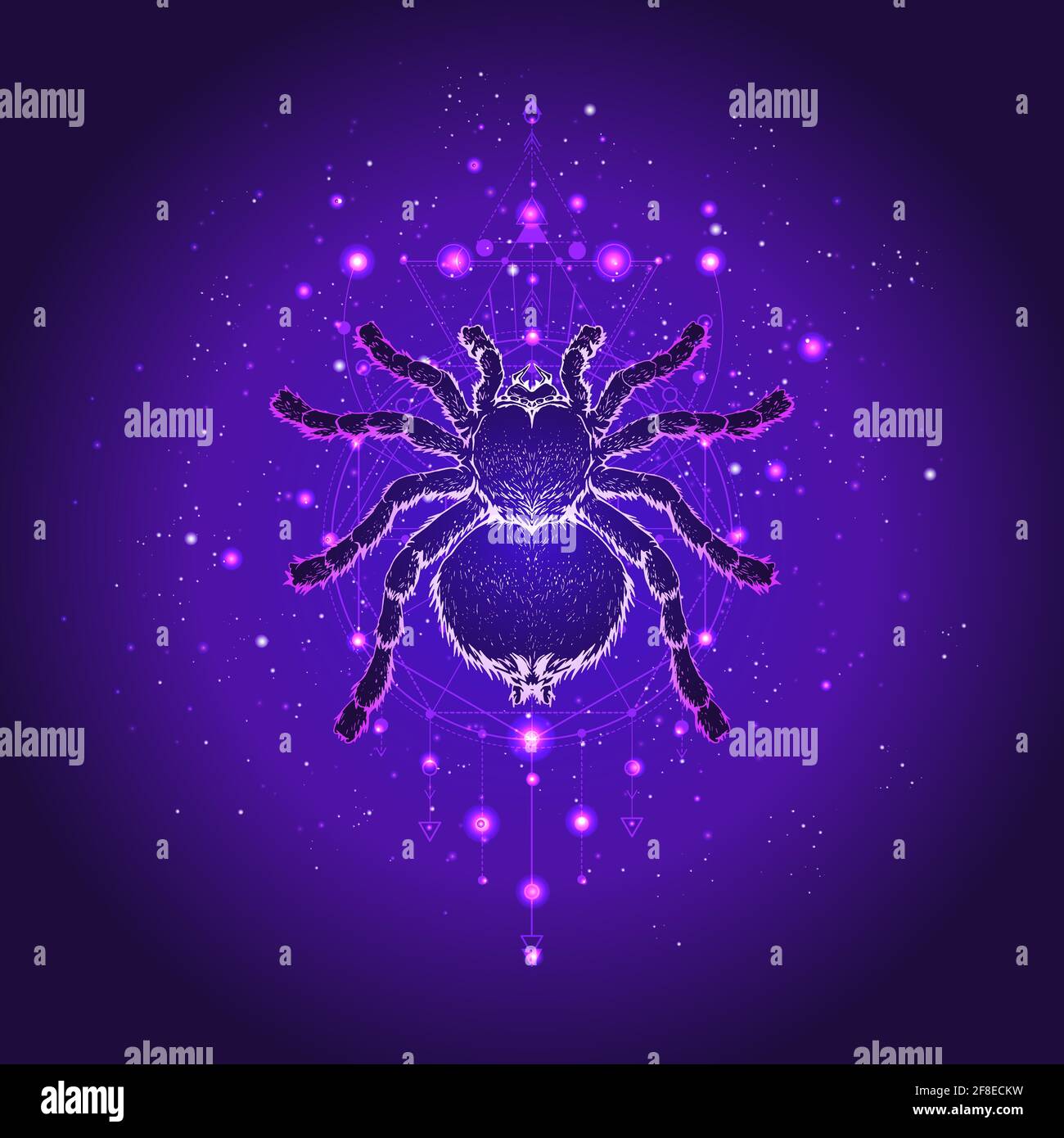 Vector illustration with hand drawn spider tarantula and Sacred ...