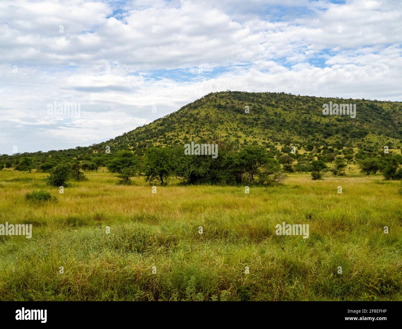 Serengeti National Park, Tanzania, Africa - February 29, 2020: Scenic ...