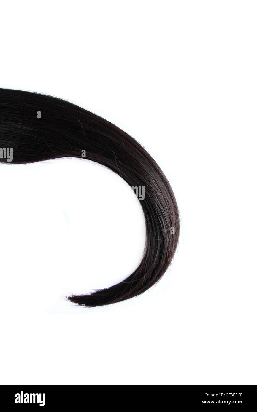 Black hair isolated on white background. Brunette natural hair ...