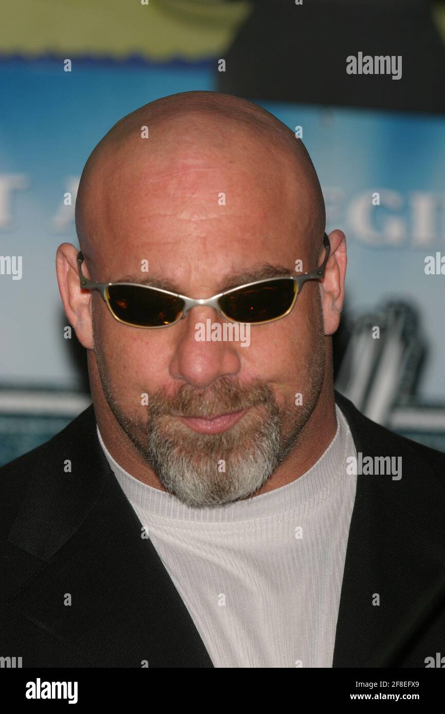 Goldberg 2004 Photo By John Barrett/PHOTOlink Stock Photo - Alamy