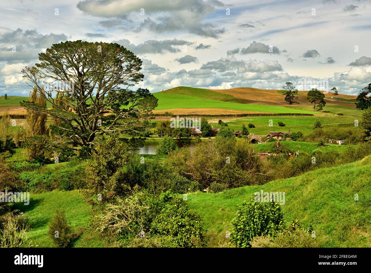 In the heart of Hamilton & Waikato’s countryside, quietly hidden behind ...