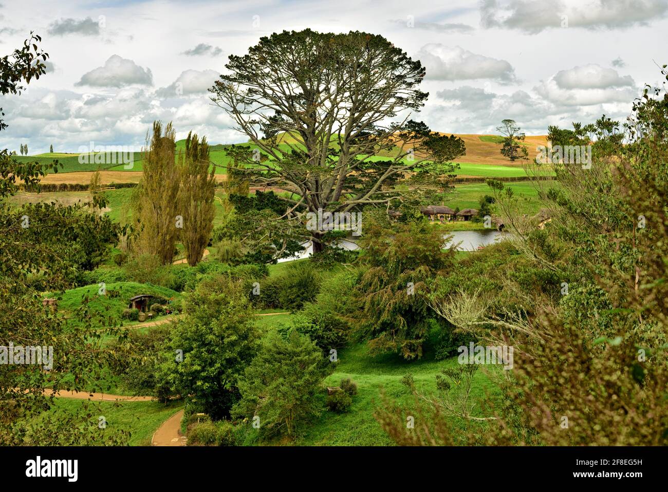 In the heart of Hamilton & Waikato’s countryside, quietly hidden behind ...